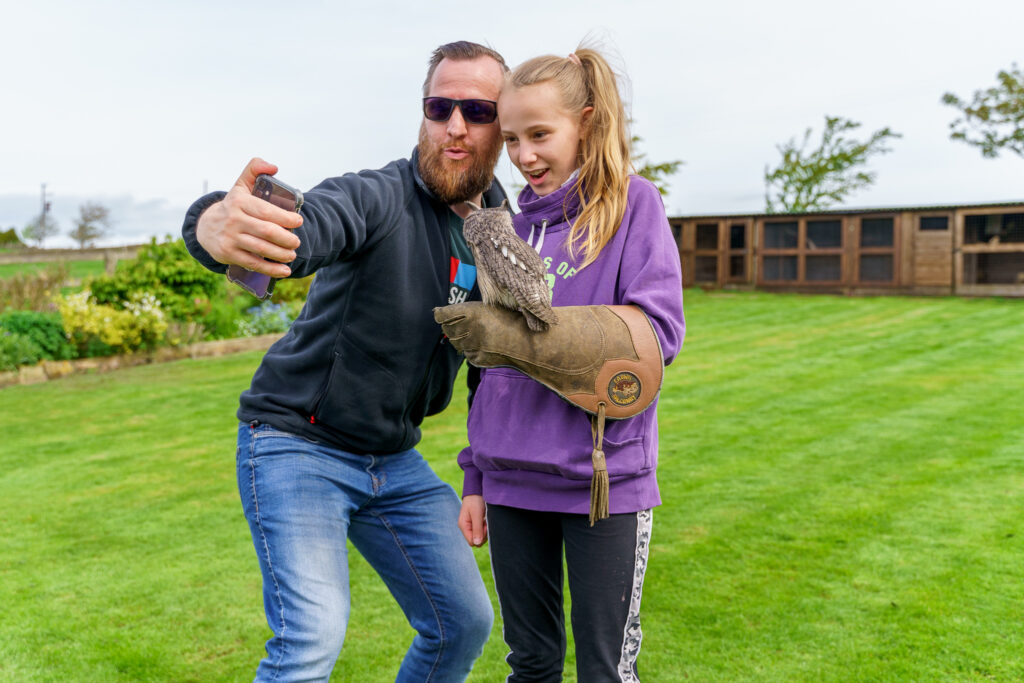 Harrogate Birds Of Prey at Alannah Macquarie blog