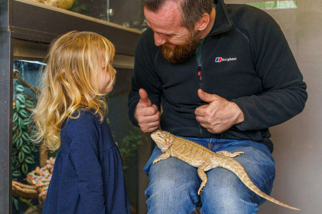 Harrogate Birds of Prey and the Creature Cave